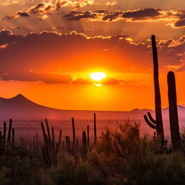 Map of Tucson Arizona Area | What is Tucson Known for? - Best Hotels Home