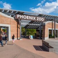 Fun Family Things to Do in Phoenix, Arizona This Weekend - Best Hotels Home